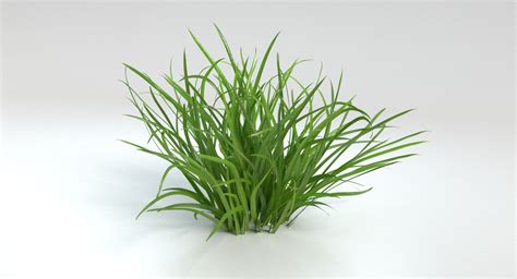 Flag Grass 3d Model 10 3ds Blend Dae Fbx Max Obj Free3d