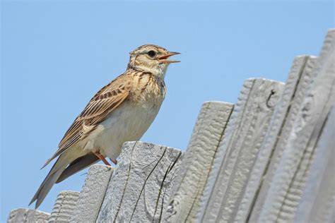 Angelica Lo Duca On Linkedin Datascience Machinelearning Ai Bigdata Artificialintelligence…