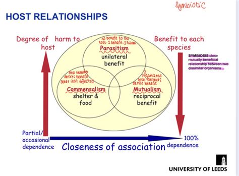 Host Microbes Interactions Flashcards Quizlet