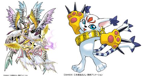 Digimon Angewomon Evolution Digimon Angewomon Evolution