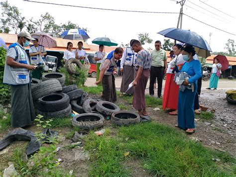 ပုဏ္ဏားကျွန်းမြို့ ၌ စုပေါင်းသန့်ရှင်းရေးဆောင်ရွက်ခြင်းနှင့် သွေးလွန