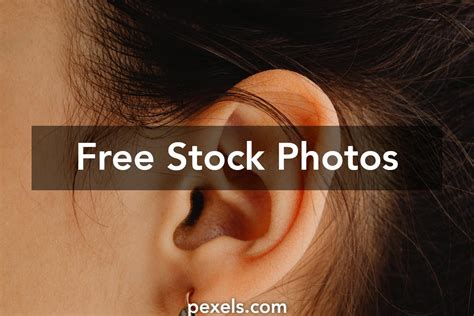 Woman With A Hairy Fanny Photos Download The Best Free Woman With A