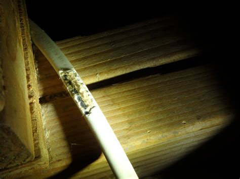 Common Electrical Defects Found During Home Inspection — Caliper Home Inspections