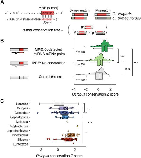 Target Sites Of Novel MiRNAs Are Conserved And Coexpressed With The Download Scientific Diagram