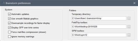 tutorials segcat12 brainstorm