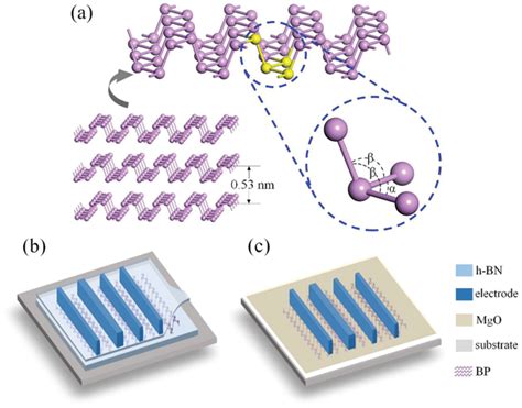 A Schematic Structure Of Bp B Traditional Device Structure Of A Bp