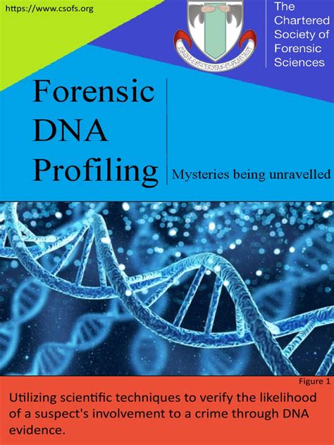 Forensic Dna Profilingpptx Pdf Dna Profiling Dna
