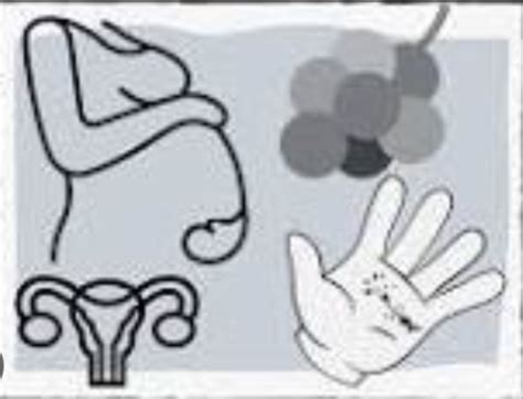 Understanding Feedback Mechanisms In Medicine Concepts And Definitions Flashcards Quizlet