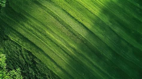 Premium Photo Golf Grass Texture Generative Ai