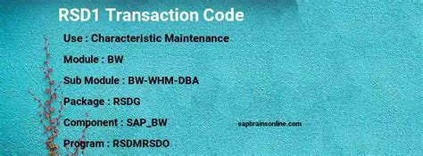 Rsd1 Sap Tcode For Characteristic Maintenance