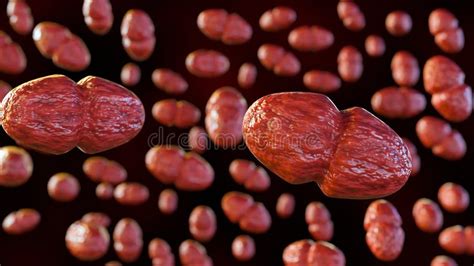 Vancomycin Stock Illustrations 89 Vancomycin Stock Illustrations Vectors And Clipart Dreamstime