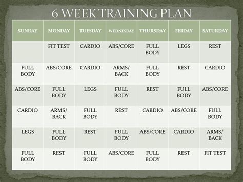 6 Week Aerobic Exercise Plan Example Cardio Workout Routine