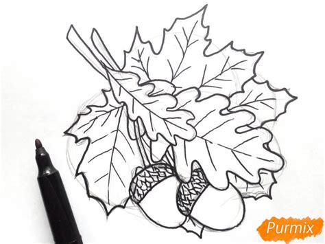 Как нарисовать осенний букет поэтапно 3 урока Moose Art Art Moose