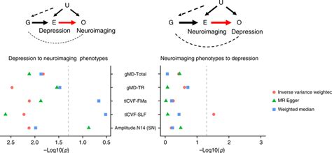 Mendelian Randomisation Analysis Between Neuroimaging Phenotypes And