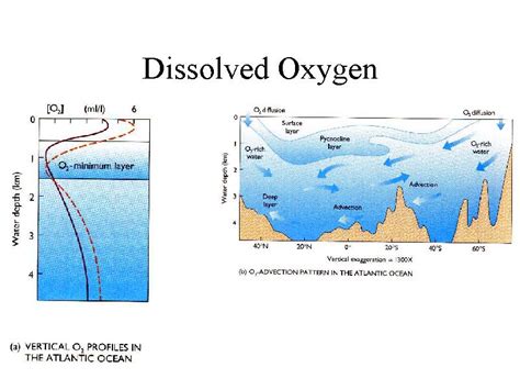 Largest Source Of Dissolved Oxygen In Ocean At Edna Mondragon Blog
