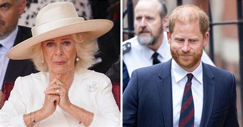 A Mistake From Camilla Has Left Prince William In A Deep Shock And May