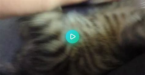 A Name Has Been Chosen Album On Imgur