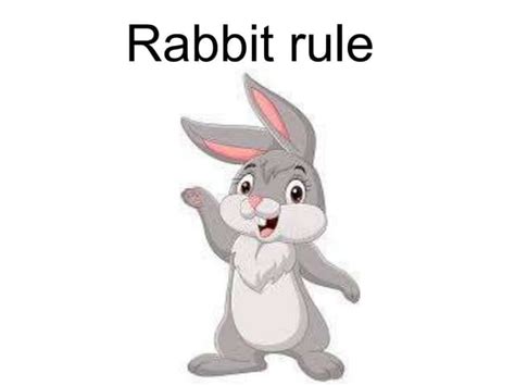 1684739649361 Rabit Rule Pptx