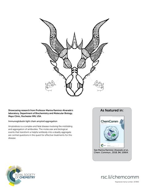 Pdf Immunoglobulin Light Chain Amyloid Aggregation