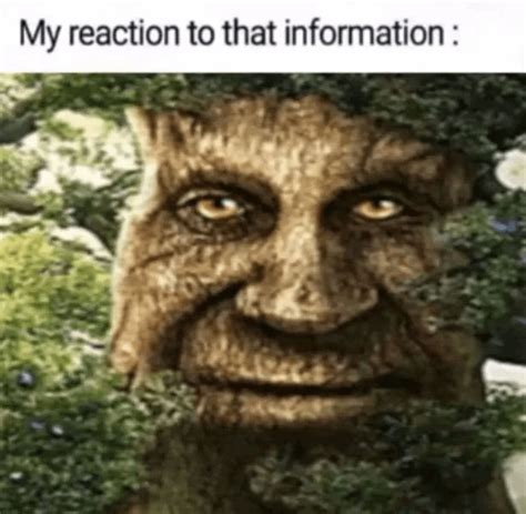 My Reaction To The New Iris Shipgirls As A Meme R Azurelane