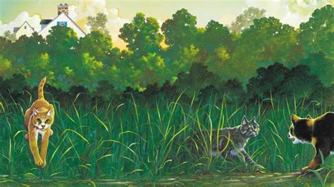 Warriors Official Art Warrior Cats Warrior Cat Warrior