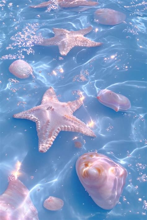 Starfish Underwater Digital Papers Sea Aesthetic Backgrounds Digital