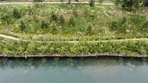 Bioengineering Demonstration And Education Project