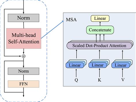 Semantic And Spatial‐spectral Feature Fusion Transformer Network For