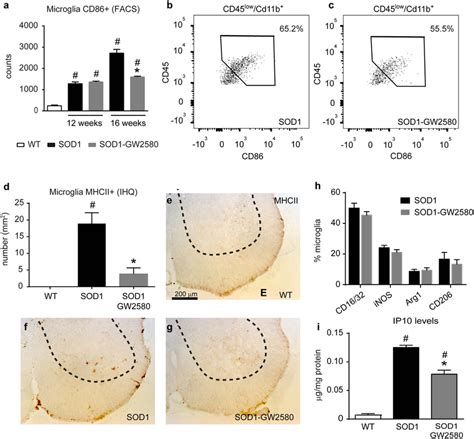 Effects Of Csf1r Blockade Microglial Cell Activation And Polarization Download Scientific