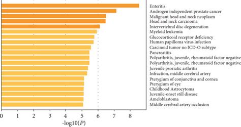 Enrichment Function Items Of Genes “junb” “dusp1” “fos” “egr1