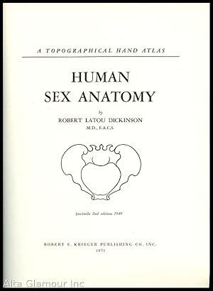 Atlas Human Sex Anatomy By Dickinson Robert AbeBooks