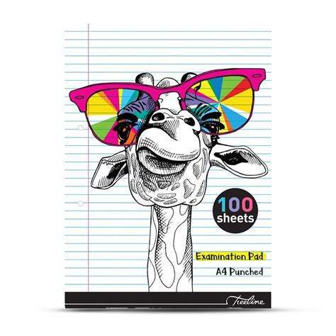 Exam Pads A4 100 Sheets Crazy Plastics