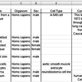 Example Of The SCD Section Of A SampleTab File Download Scientific Diagram