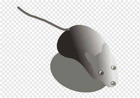 Computer Mouse Computer Icons User Interface Computer Mouse Electronics Carnivoran Social