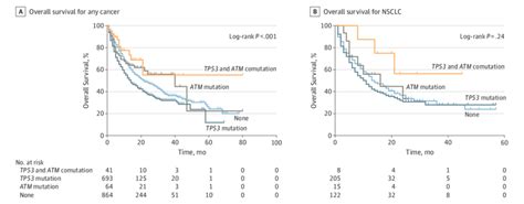 association of tp53 and atm mutation type with prognosis in patients