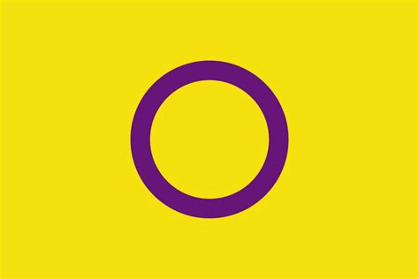 Intersex Pride Flag Flags Ireland Prospect Design