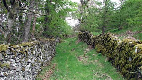 Moel Emoel Foothill Track Walk North Wales