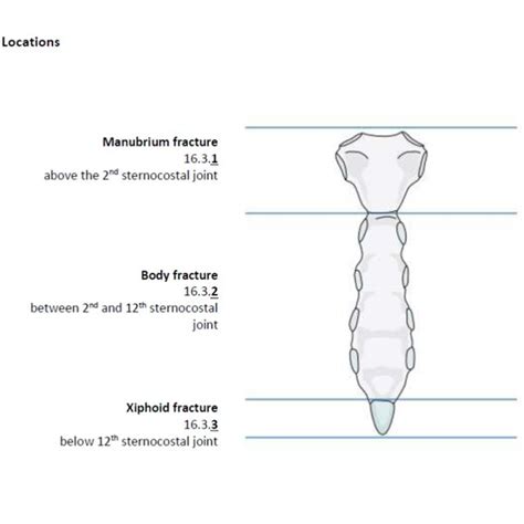 Ao Ota Modified Classification Of Sternal Fractures Fractures Location Download Scientific