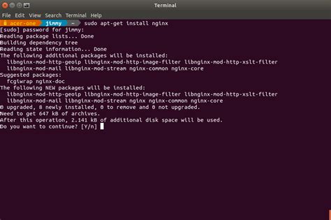 Instalando Nginx En Ubuntu KS WP