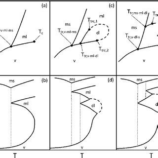 The schematic representations of the bulk phase diagrams for the ...
