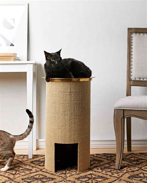 25 Diy Cat Scratching Post Plans Blitsy