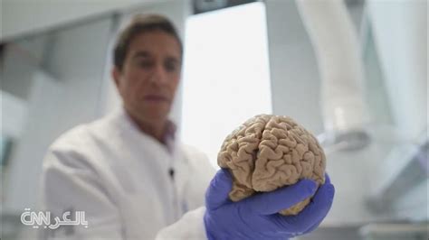 دماغ الإنسان كما لم تره من قبل جولة داخل بنك للأدمغة في الدنمارك Youtube