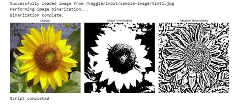 Image Processing Algorithms In Computer Vision Geeksforgeeks