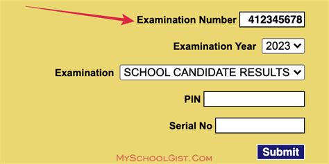 How To Check WAEC Result For 2024 Past Years MybabeGist