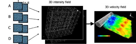 Schematic Principle Of Tomographic Piv Digital Analysis Download