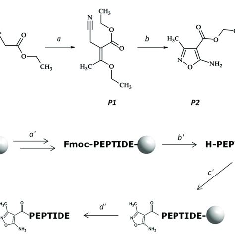 A Schematic Presentation Of The AMIA Synthesis Conditions A DMAP