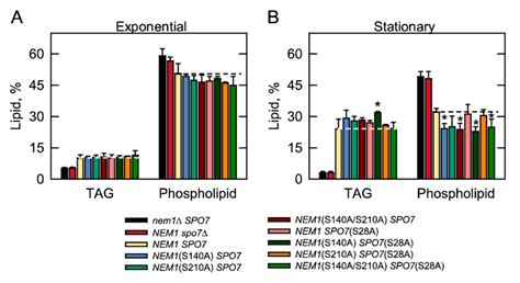 Lipid Composition Of Yeast Cells Harboring The Download Scientific