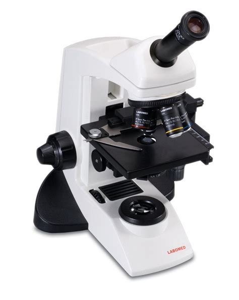 Labomed Cxl Microscope Labomed Microscope Microscope Central