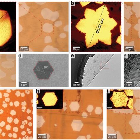 Xixiang Zhang Director Of Core Labs Professor Ph D King Abdullah University Of Science