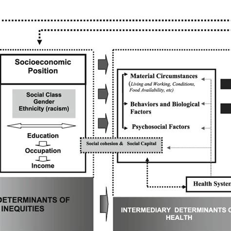 Csdoh Framework On Health Inequity Download Scientific Diagram